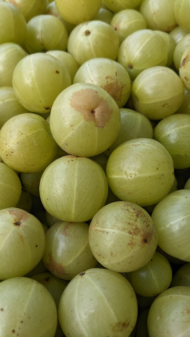 Is Amla Good for Dogs? Benefits, Risks, & How to Feed It – Furloved